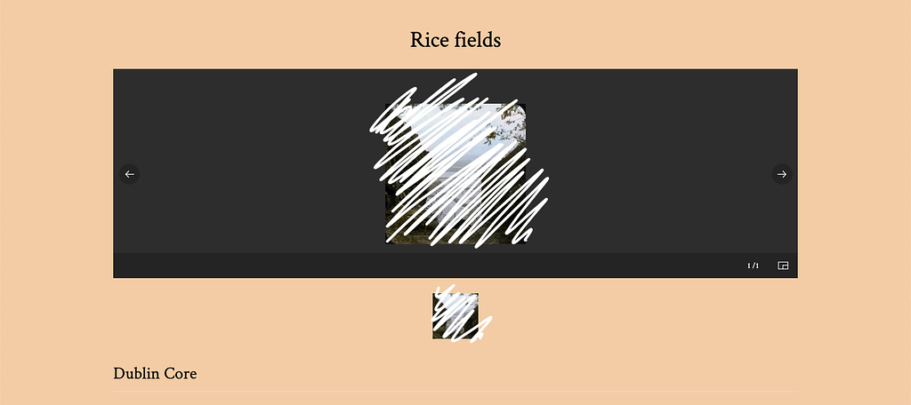 What is this photo display plugin - Plugins - Omeka Forum