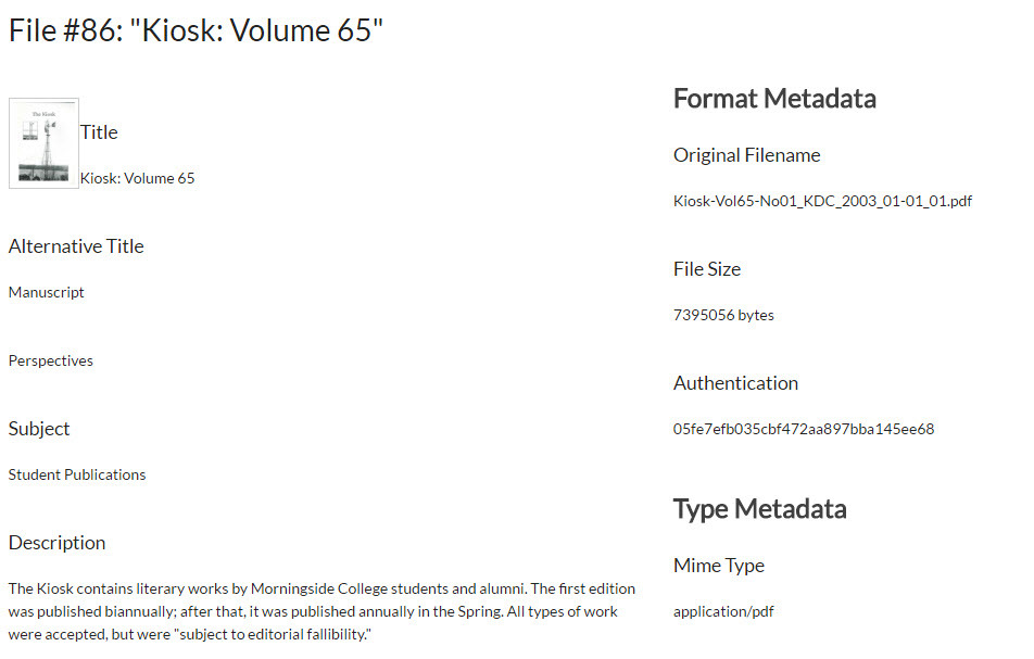 How can you change the "File Size" under "Format Metadata" in the item ...